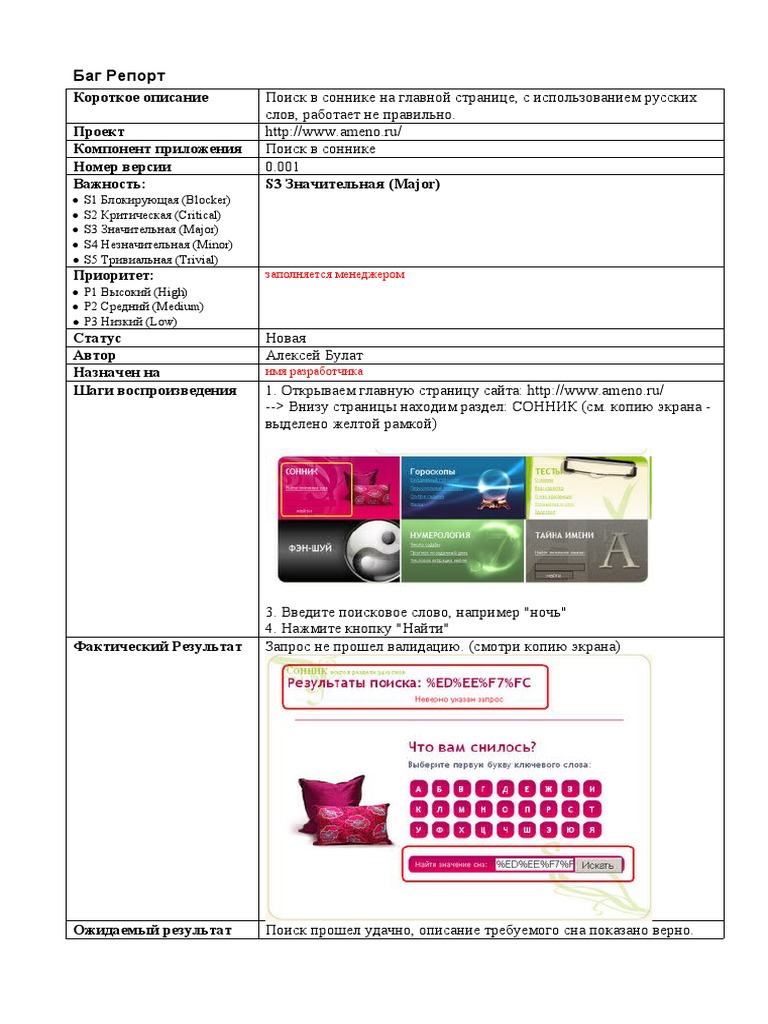 BugReport Example | PDF