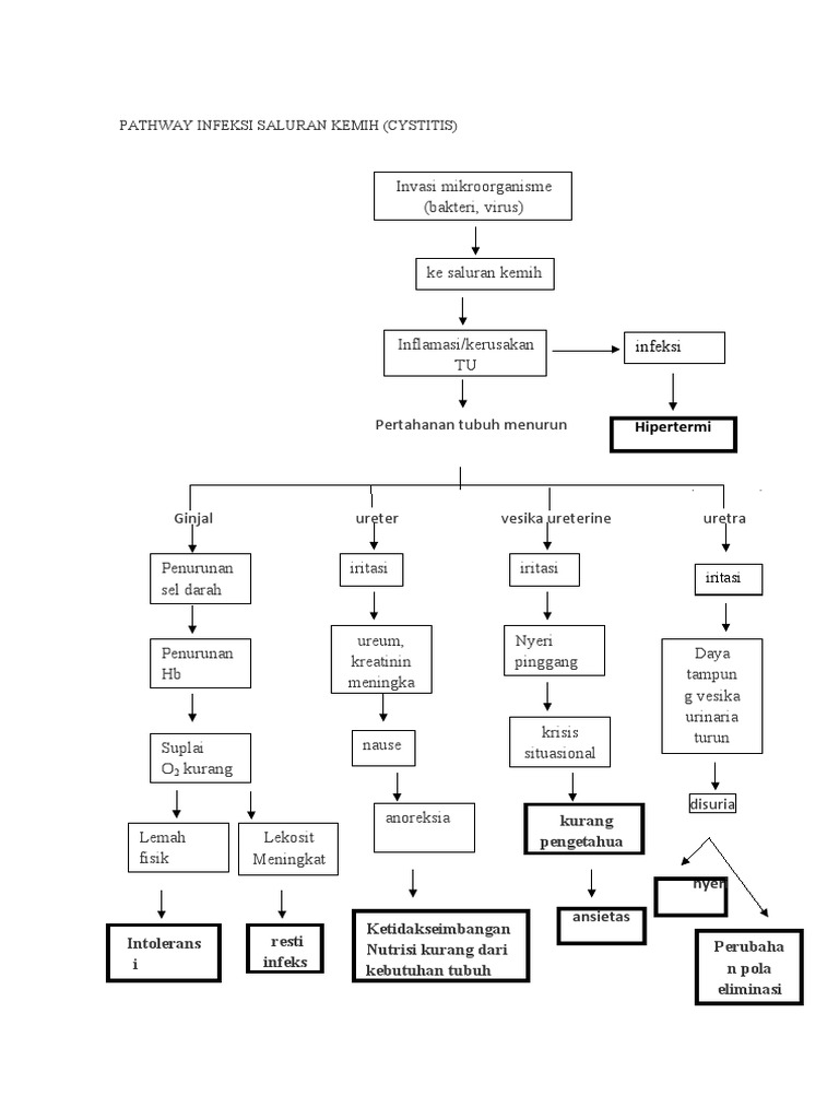 PDF Pathway Cystitis | PDF