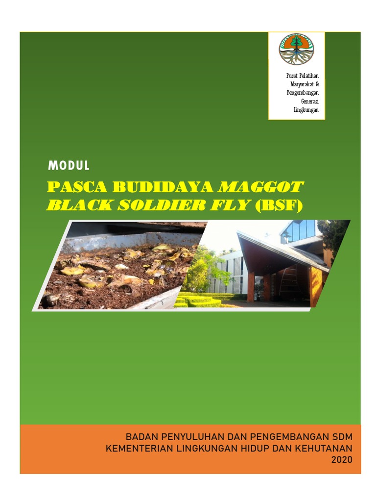 Modul BSF - Pasca Budidaya BSF | PDF