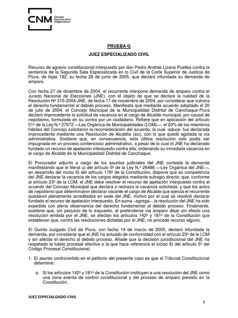 Prueba G | PDF | Demanda judicial | Constitución