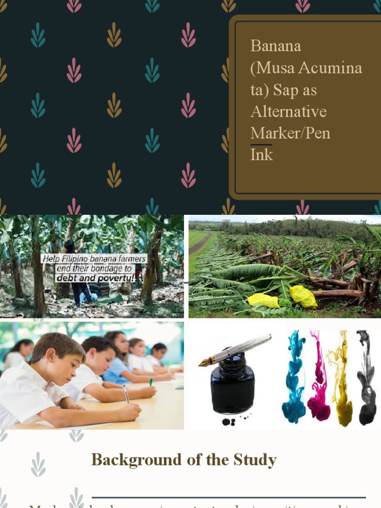 Banana Sap As Alternative Marker | PDF | Banana | Experiment