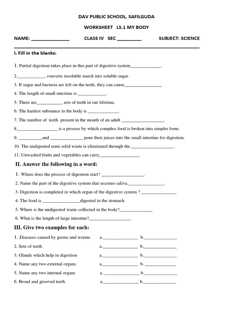 cls-4 Science ls-1 Worksheet | PDF | Digestion | Human Digestive System