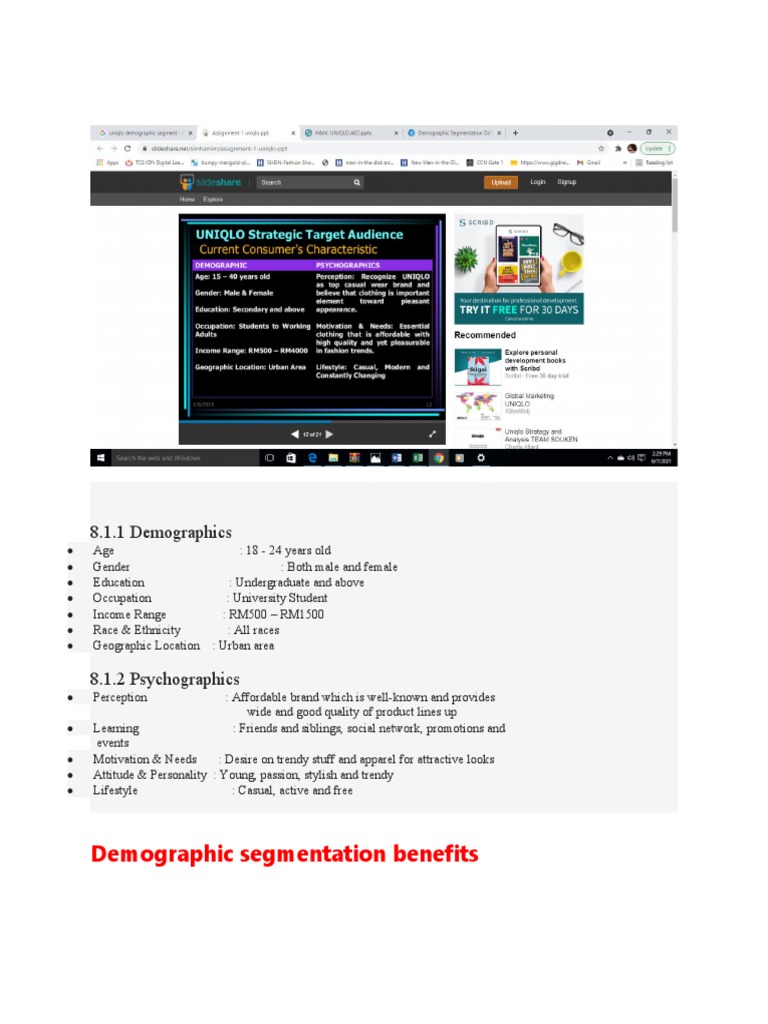 Demographic Segmentation Benefits: 8.1.1 Demographics | Download Free ...