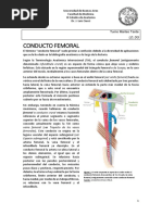 Arco de Riolano | PDF | Tinción | Anatomía