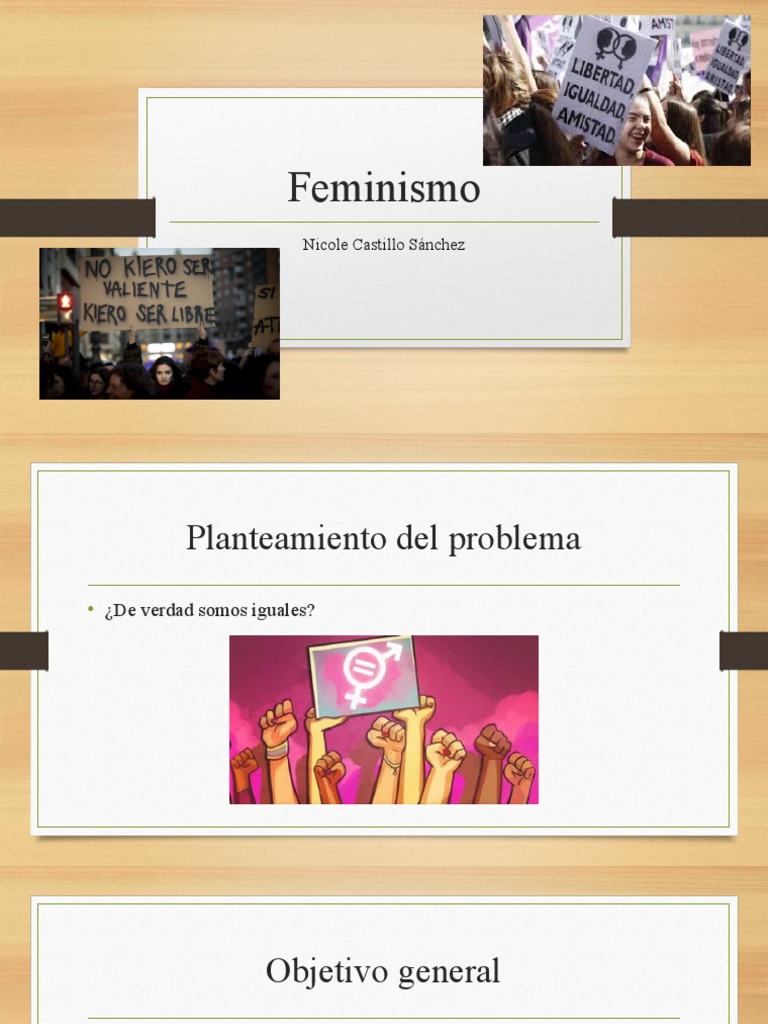 Feminismo: Hacia la Igualdad Real | PDF | Feminismo | Estudios de género