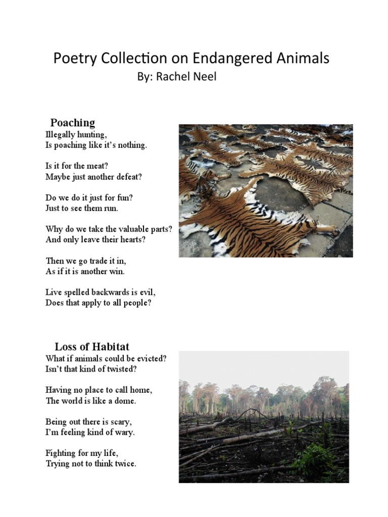 Endangered Animals Poetry Collection | PDF | Poetry