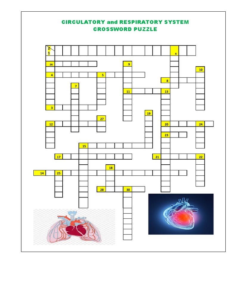 Respiratory System Crossword Puzzle Senses, Nervous & Respiratory