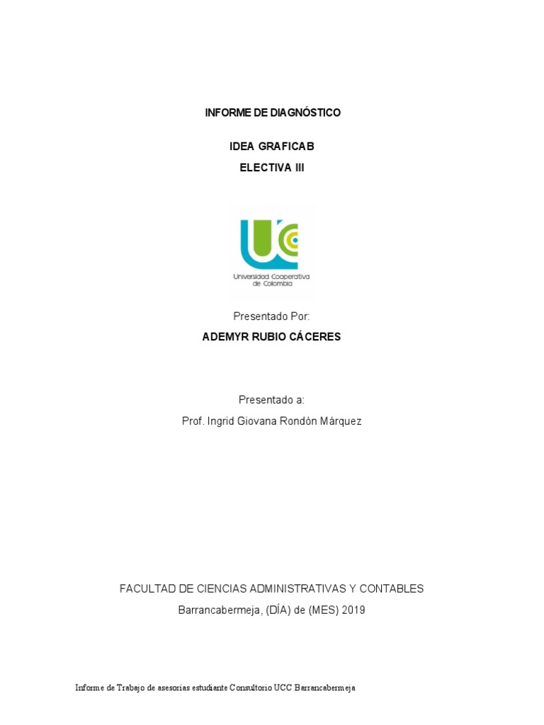 Modelo de Informe Electiva Iii - Final | PDF | Empresas | Marketing