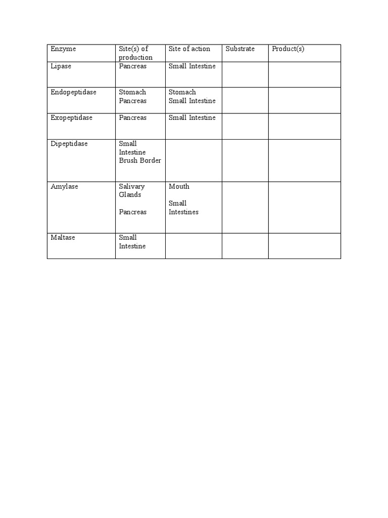 Enzyme Summary Table | PDF