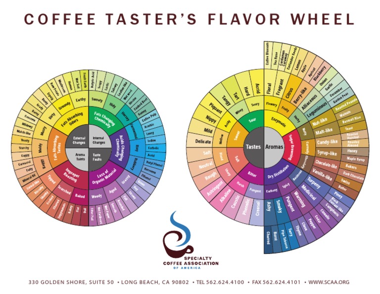 Coffee Tasters Flavor Wheel | PDF
