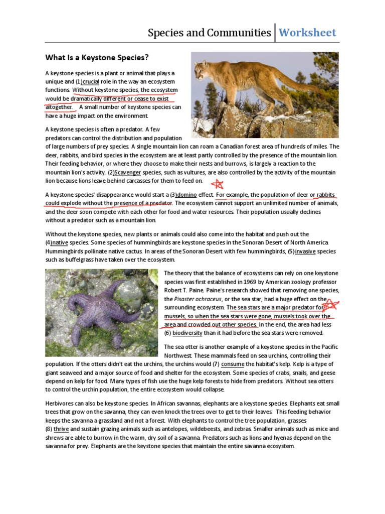 What Is A Keystone Species WS | PDF | Systems Ecology | Biogeochemistry