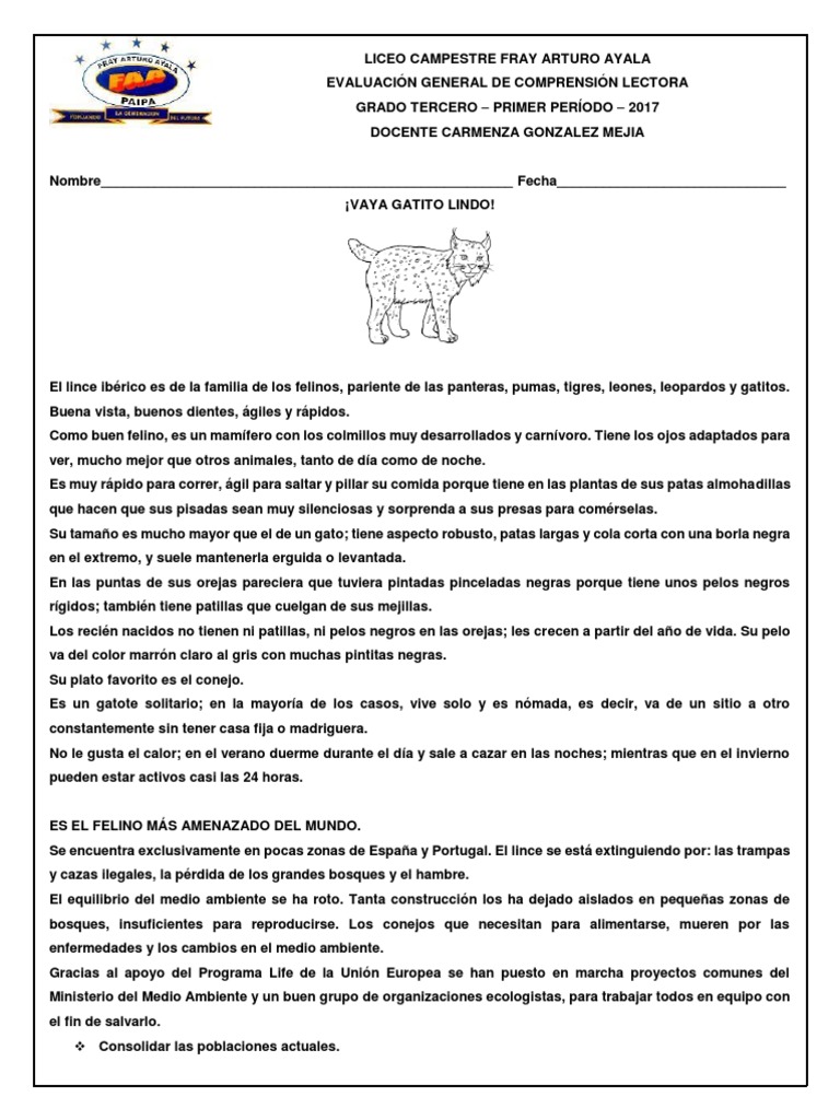 Comprensión Lectora Grado Tercero | PDF | Felidae | Felinos