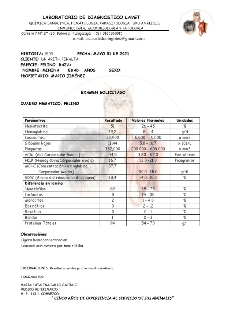 Hist 1509 Minina | PDF | Sangre | Medicina