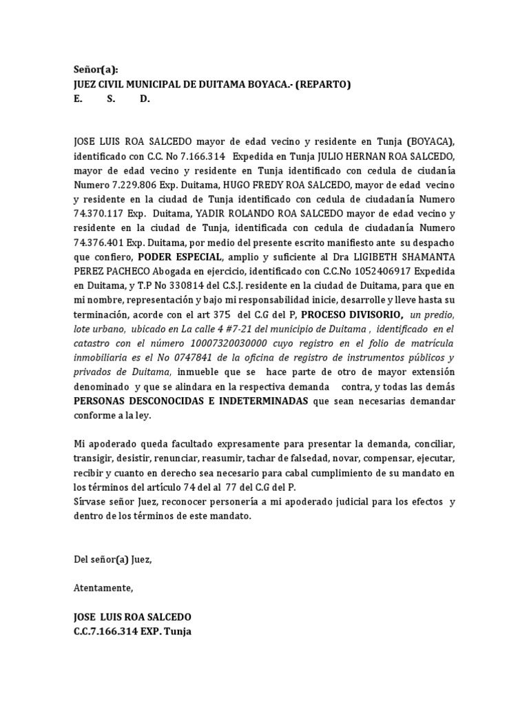 Poder Especial para Proceso Divisorio | PDF