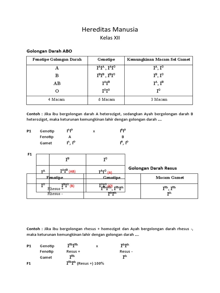 Hereditas Manusia | PDF