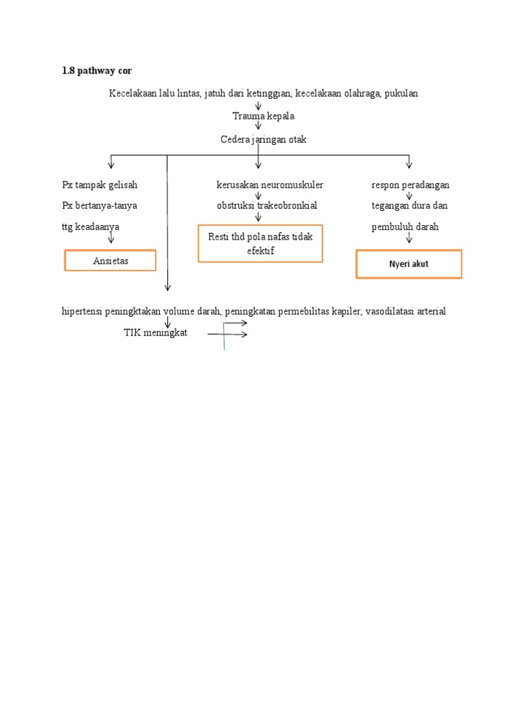 1.8 Pathway Cor: Nyeri Akut | PDF