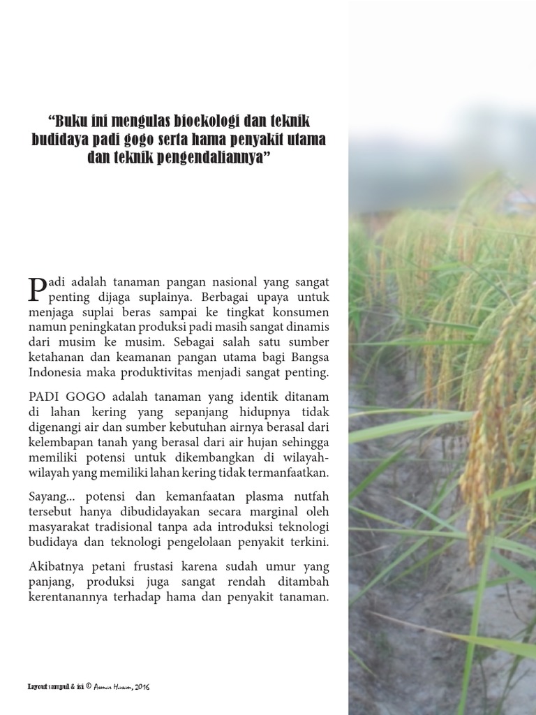 16.buku Padi Gogo | PDF
