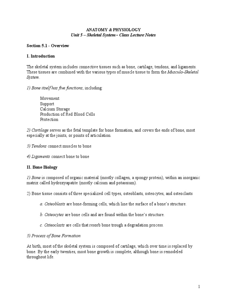 Class 5 Skeletal System Lecture Notes | PDF | Bone | Osteoblast
