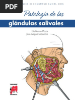 Región Geniana o Región de La Mejilla | PDF | Anatomía | Anatomía humana