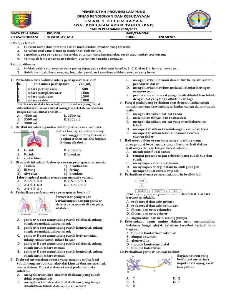 Pat Xi Biologi 2021 | PDF
