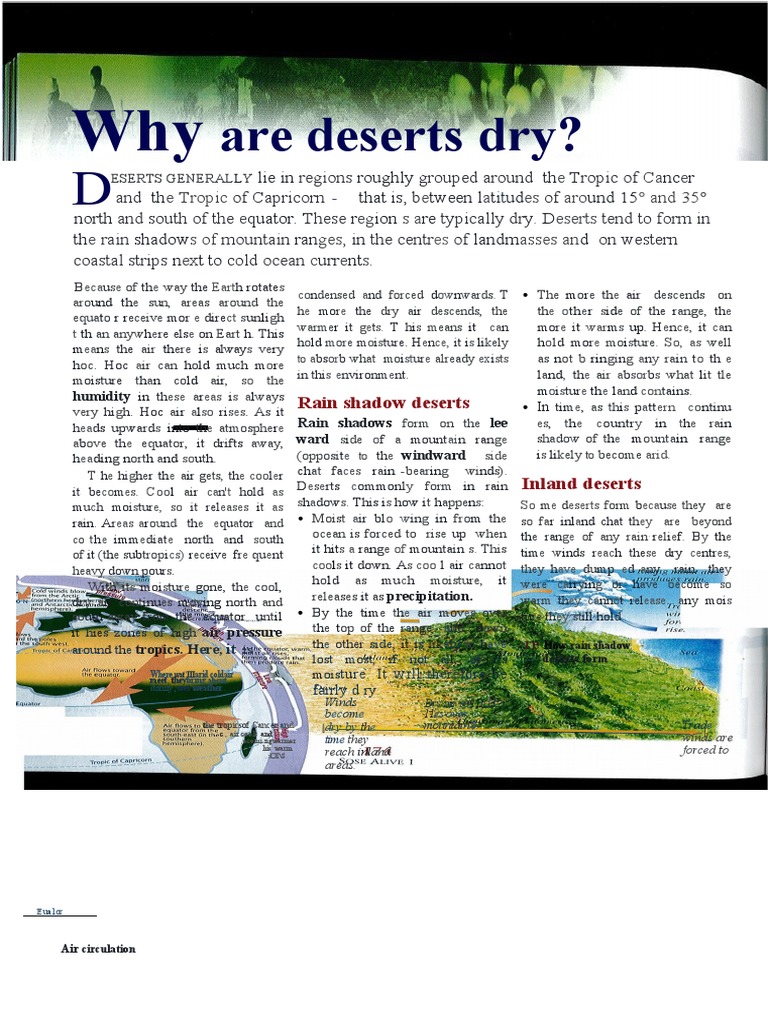 Worksheet 6 W | PDF | Rain | Desert