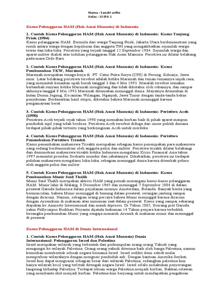 Kasus Pelanggaran HAM | PDF