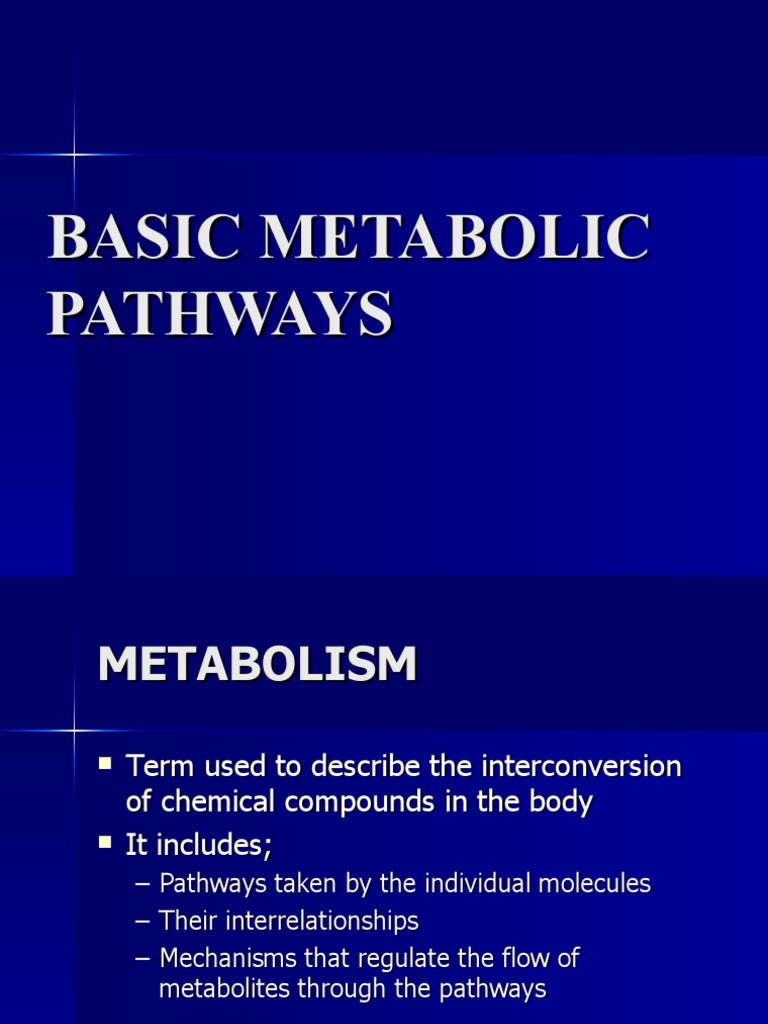 Basic Metabolic Pathways | PDF | Nature | Metabolic Pathway