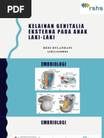 Kodefikasi Penyakit Reproduksi Pria | PDF