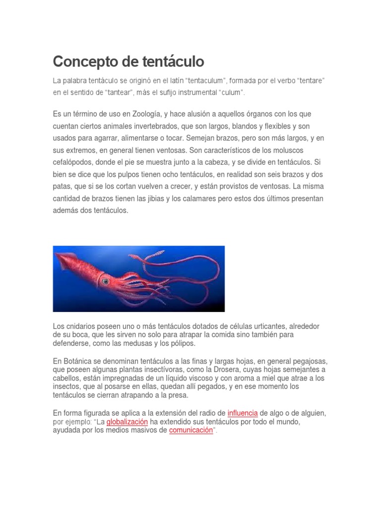 Concepto de Tentáculo | PDF