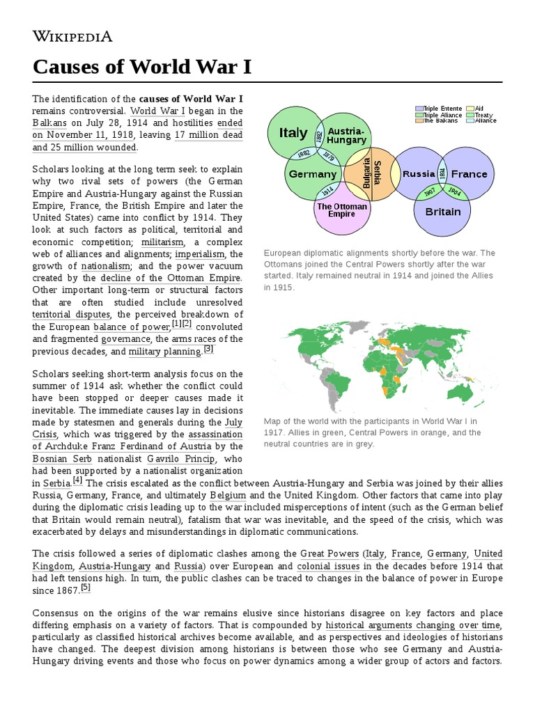 Causes of World War I | PDF | Allies Of World War I | Austria Hungary