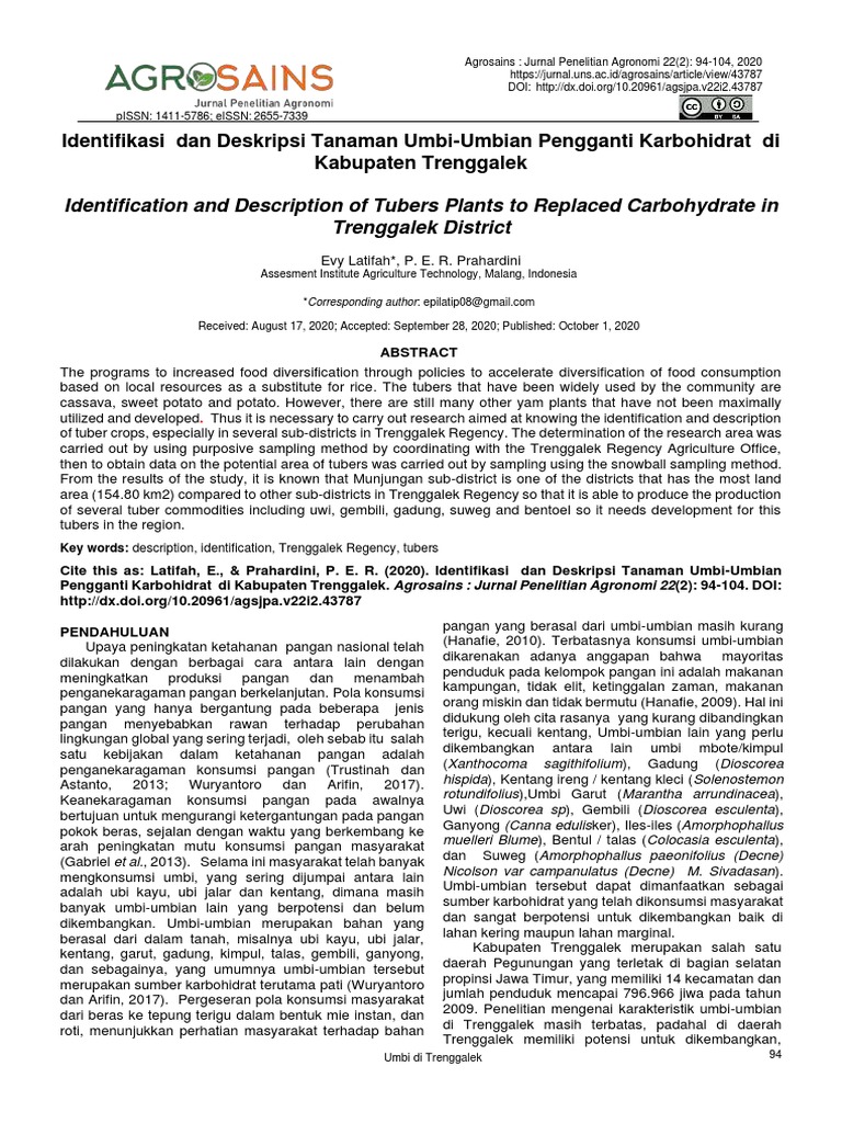 TUBERS IDENTIFICATION | PDF | Agriculture | Staple Foods