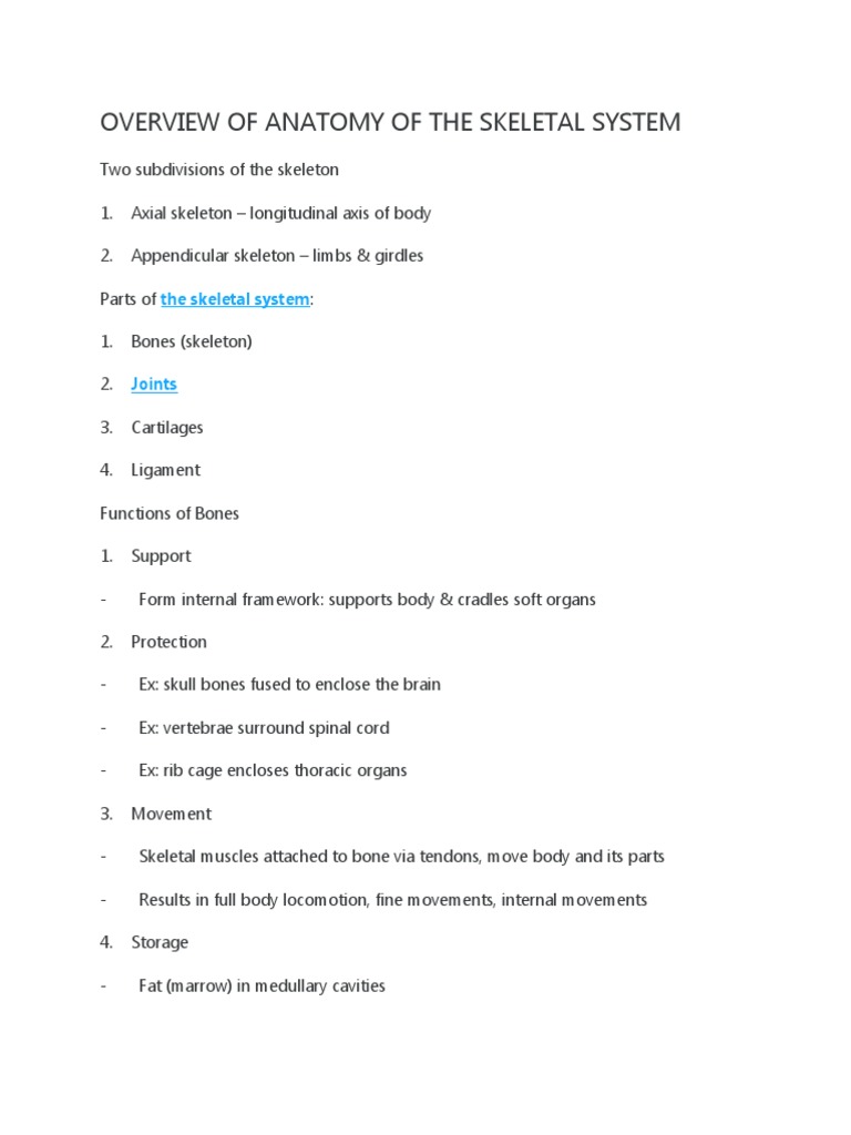 Skeletal System Overview: Bones, Joints, Functions | PDF | Vertebra | Vertebral Column