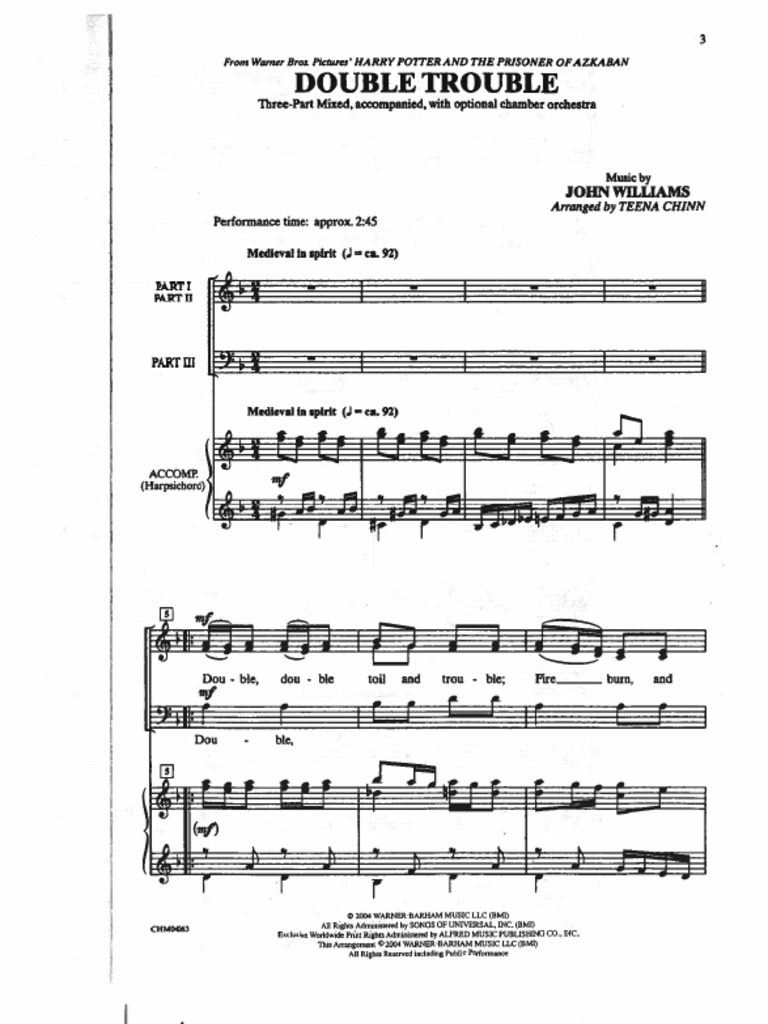 Double Trouble | PDF