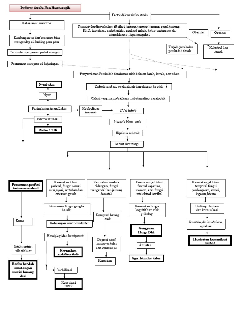 WOC Stroke Non Hemoragic | PDF