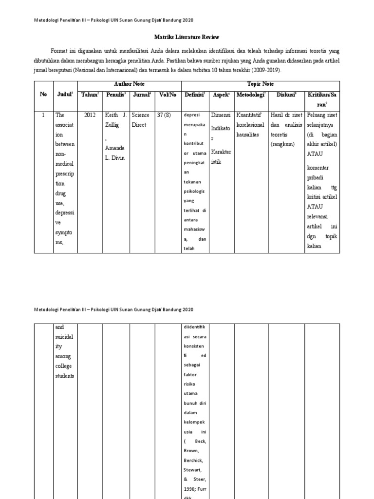 Matriks Literature Review | PDF
