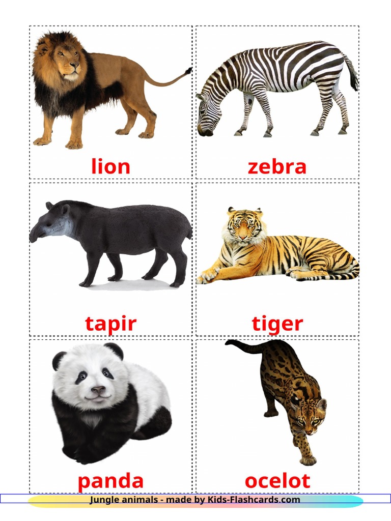Jungle Animals 6 A4 | PDF
