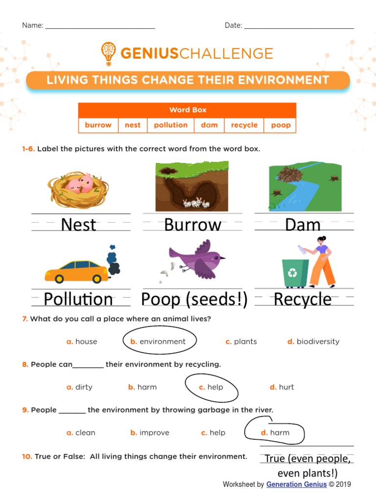 Living Things and Their Environment Worksheet | PDF