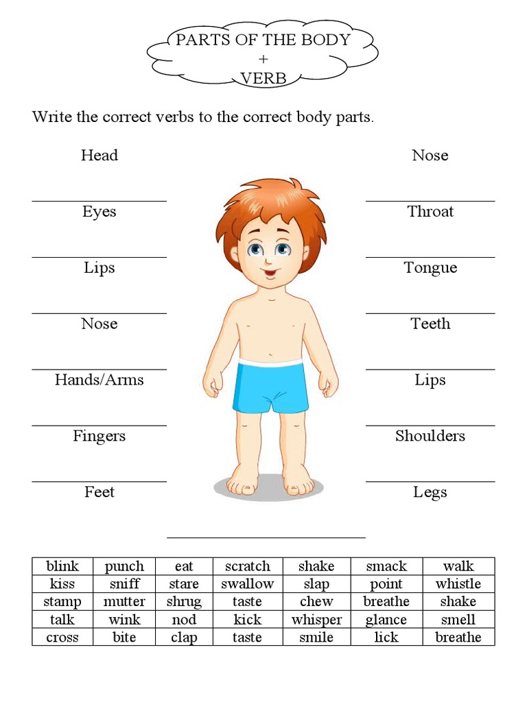 Parts of The Body + Verb Write The Correct Verbs To The Correct Body ...
