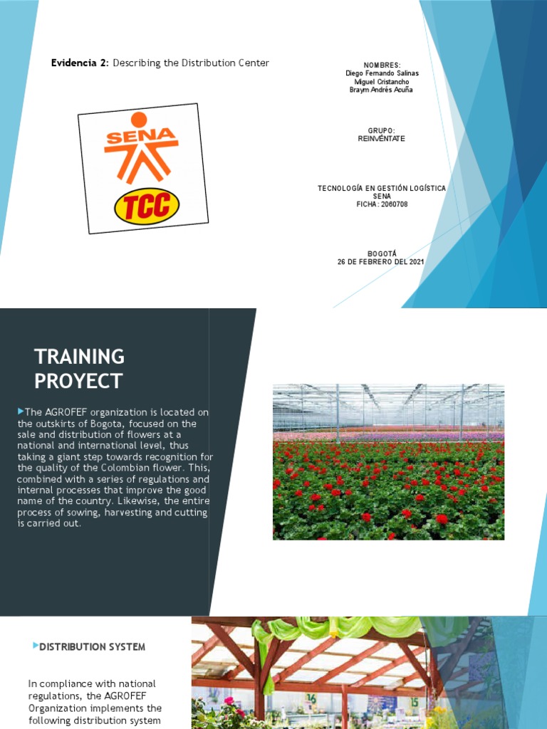 Describing The Distribution Center | PDF