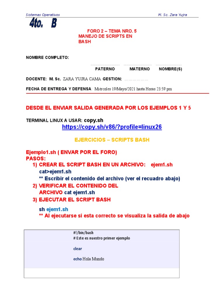 Tema 5 - Scripts Bash | PDF | Lenguaje de escritura | Programación de ...
