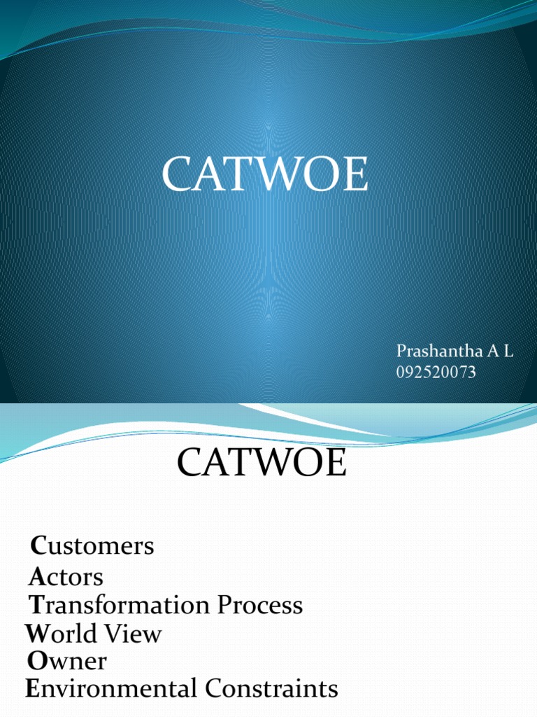 Understand systems thinking with CATWOE analysis | PDF | System | Cognition