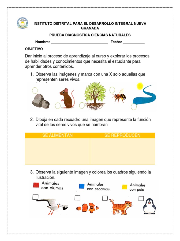 Prueba Diagnostica Naturales para Niños de Segundo Grado | PDF