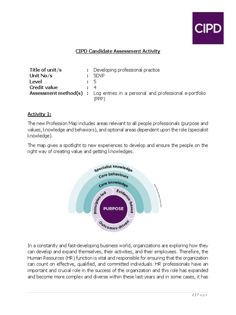 CIPD Candidate Assessment Activity V001 | PDF | Organization ...