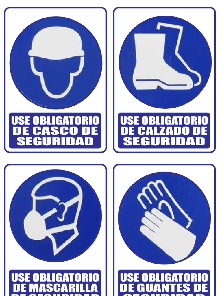 Uso Obligatorio de EPP en Seguridad | PDF | Tecnología