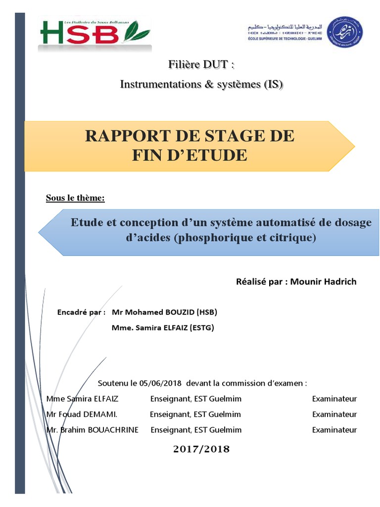 Rapport SFE 2018 IS | PDF | Hydrogénation | Margarine