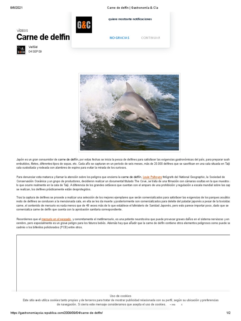 Delfin 1 | PDF | Cookie HTTP | Alimentos