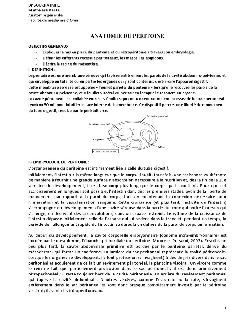 Anatomie et embryologie du péritoine | PDF | Péritoine | Foie