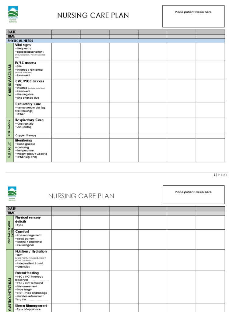 Nursing Care Plan | PDF | Physical Therapy | Urinary Incontinence