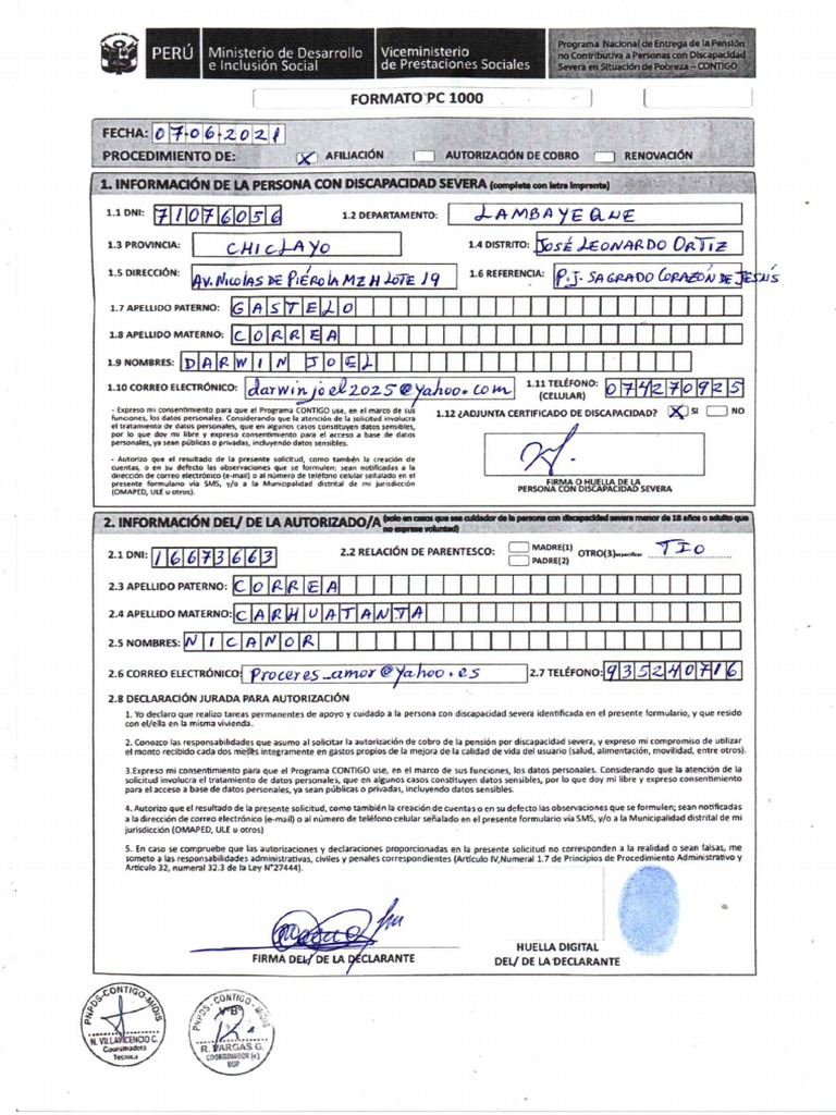 Formato PC 1000 | PDF