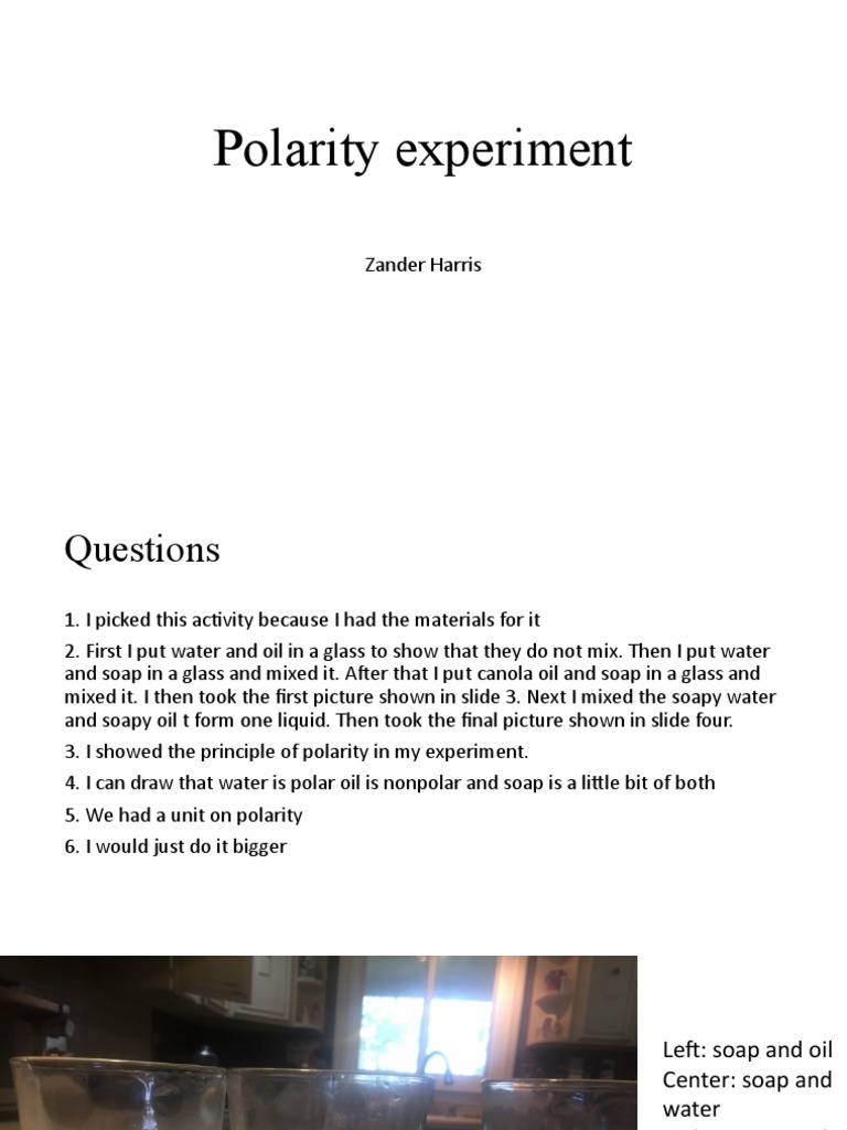 Polarity Experiment: Zander Harris | PDF